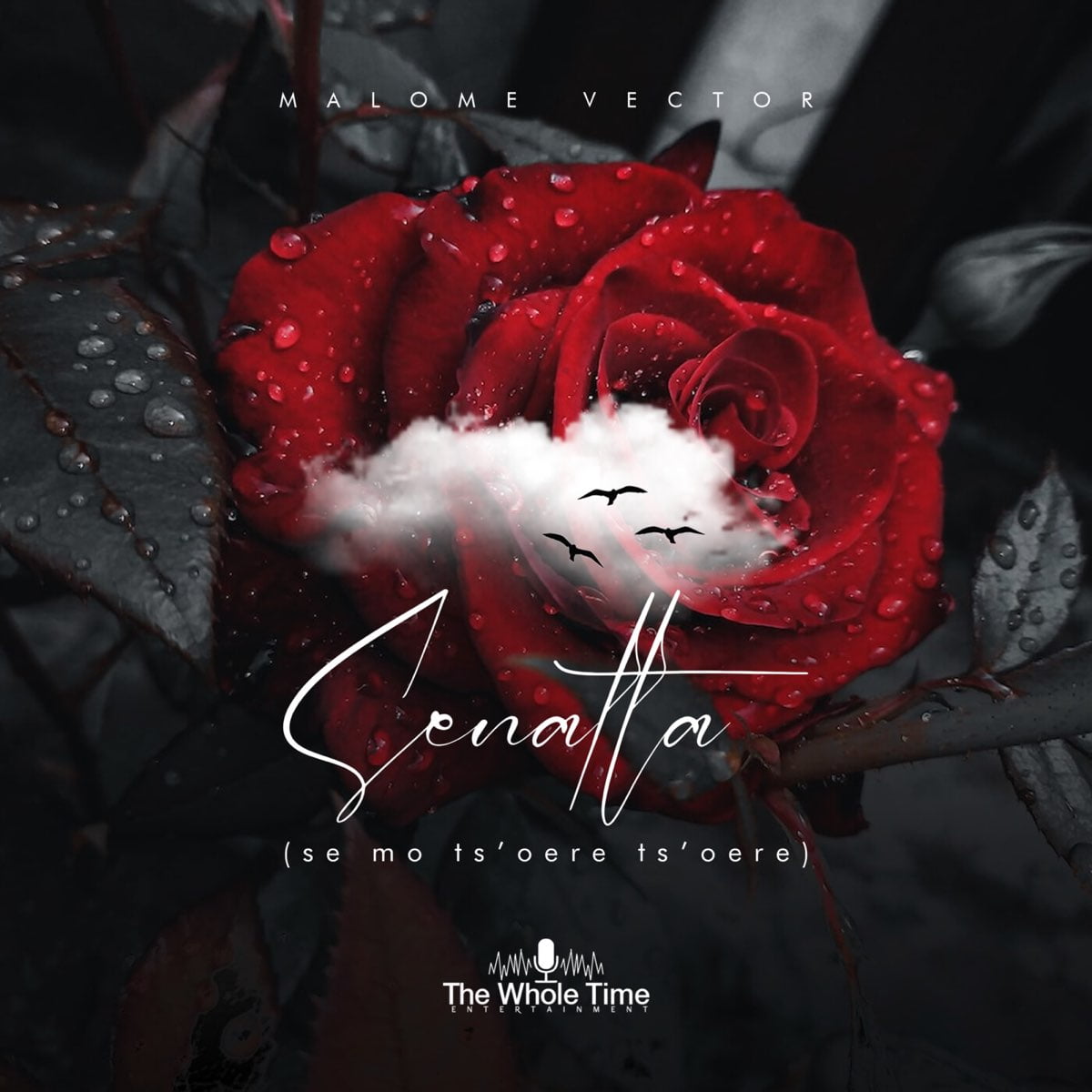 Malome Vector – Senatla (mp3 free download) > mophela